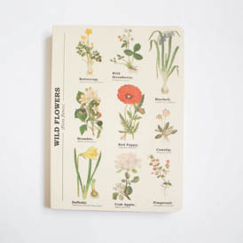 Aesthetic Flowers Names | Best Flower Site